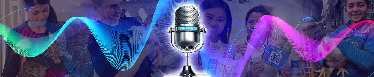 Good Call Media | Ceva Sounds – banner